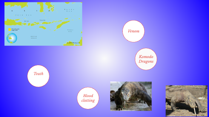 komodo by Thomas Imboden on Prezi