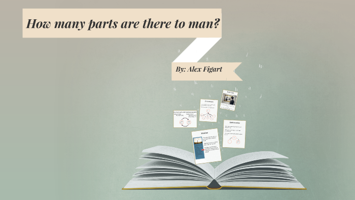 Monism-Dichotomy-Trichotomy by Alex Figart on Prezi