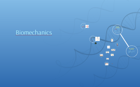 Human Anatomy by Meghan Polce on Prezi