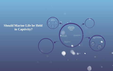 Should Marine Life be Held in Captivity? by melanie georger on Prezi