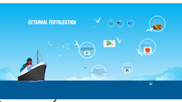 External fertilization by Patrick Kim on Prezi