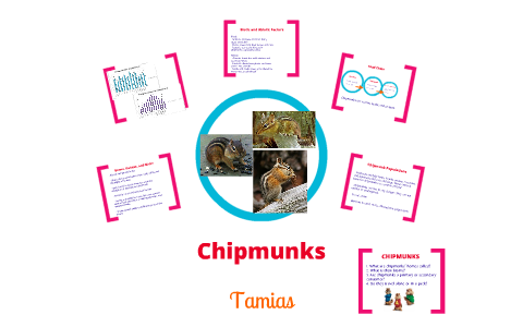 Chipmunks by Sean Kapp on Prezi