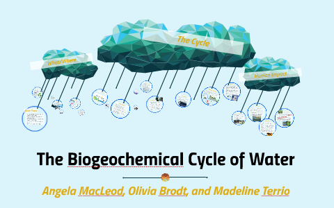The Biogeochemical Cycle of Water by Madeline Terrio on Prezi