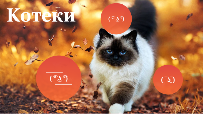 qwerty by fgghgh fgfgfg on Prezi