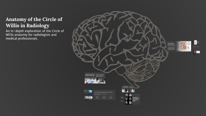 Anatomy of the Circle of Willis in Radiology by Mariam Malek on Prezi