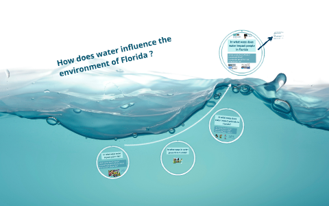 How does water influence the environment of Florida by marie liburd on ...