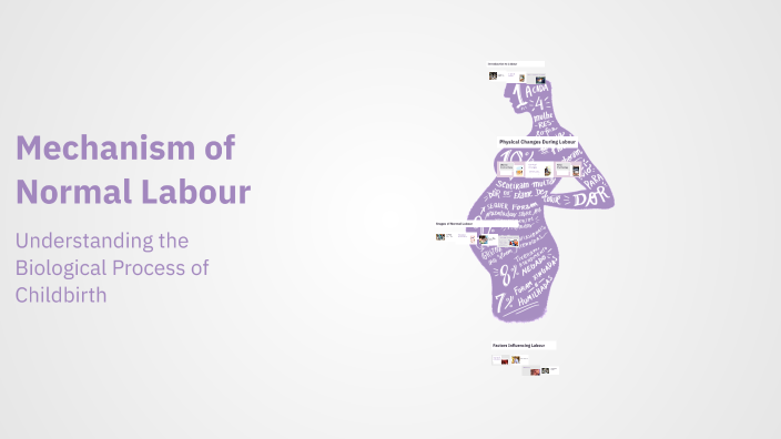Mechanism of Normal Labour by Tamer Hosny on Prezi