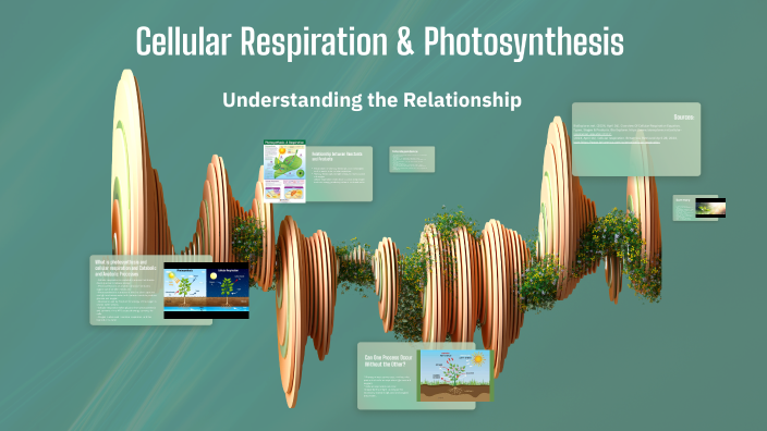 Cellular Respiration vs Photosynthesis by Claudia Bullock on Prezi