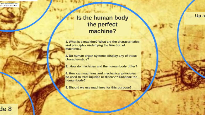 Perfect Human Being Characteristics