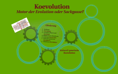 Koevolution by Eva Rue on Prezi