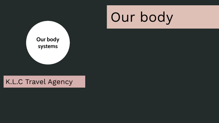 Travel Brochure of the body system by on Prezi