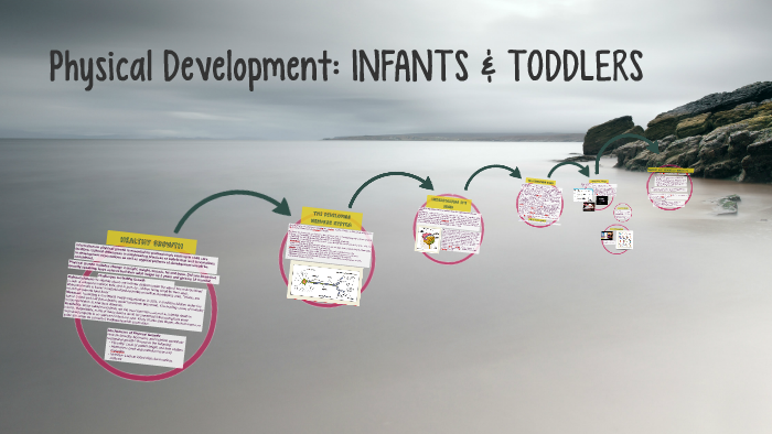 Physical Development: INFANTS & TODDLERS by Karin Potgieter on Prezi