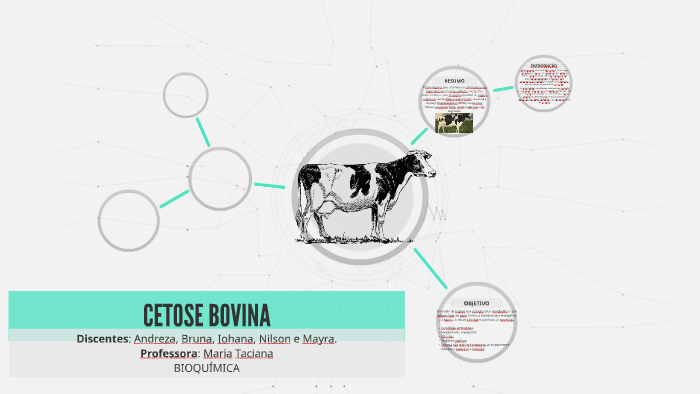 CETOSE BOVINA by Bruna Menezes on Prezi