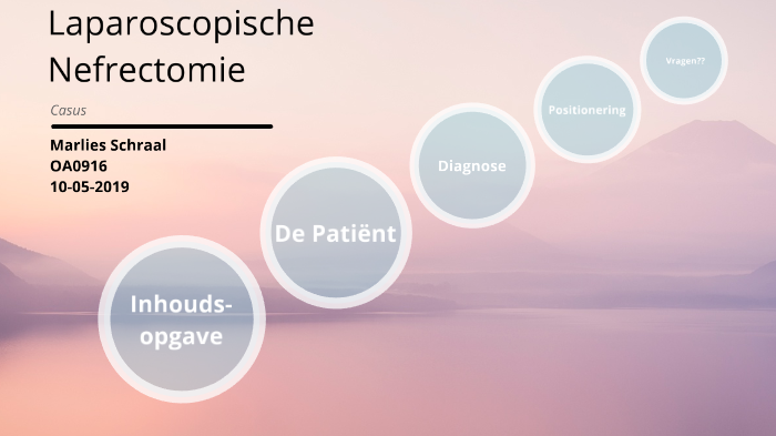 Laparoscopische Nefrectomie casus by Marlies Schraal on Prezi
