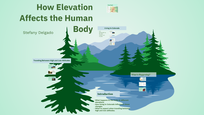 How Elevation Affects the Human Body by Stefany Delgado on Prezi