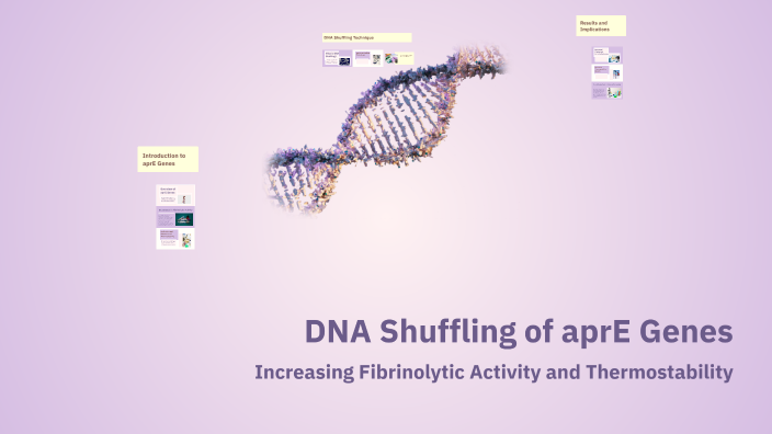 DNA Shuffling of aprE Genes by İlayda Yılmaz on Prezi
