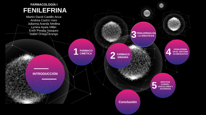 FENILEFRINA by Fenilefrina Farmacología on Prezi