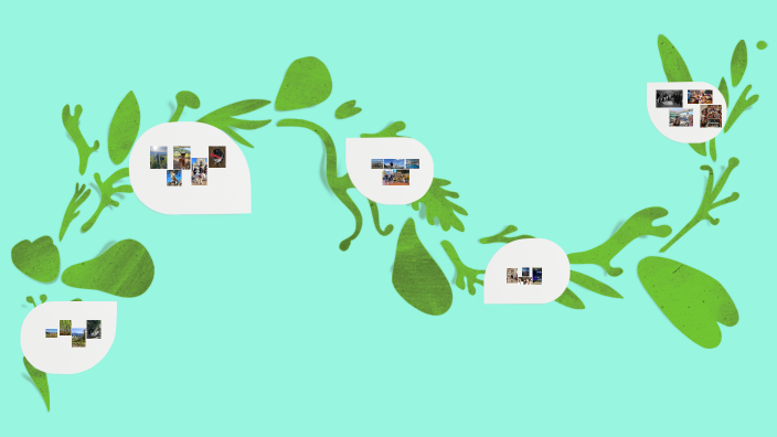 Iris by Iris Lemmi on Prezi