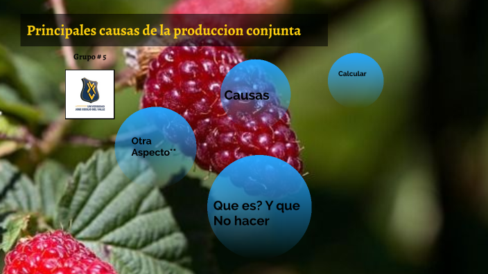 PRODUCCION CONJUNTA. by kelly Caceres on Prezi