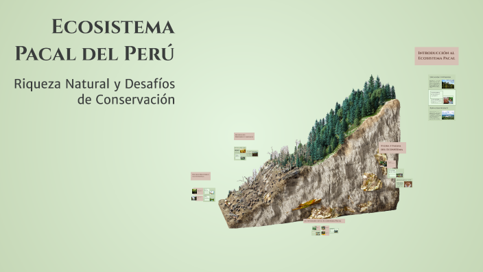 Ecosistema Pacal del Perú by catherine Vega Chávez on Prezi