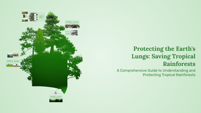 Protecting the Earth's Lungs: Saving Tropical Rainforests by Ronnel ...