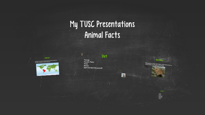 My TUSC Presentation by Nasrin .A on Prezi Next