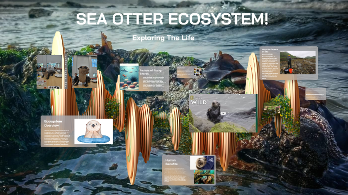 Sea Otter Ecosystem by Mojtaba on Prezi