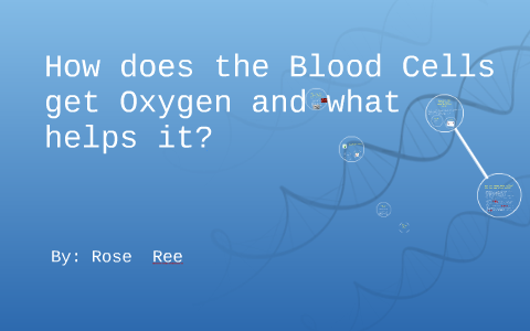 How does the Blood cells get Oxygen from the air and what h by Rose Ree ...