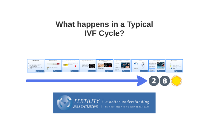 5.14 What Happens in a Typical IVF Cycle by Andrew Murray on Prezi