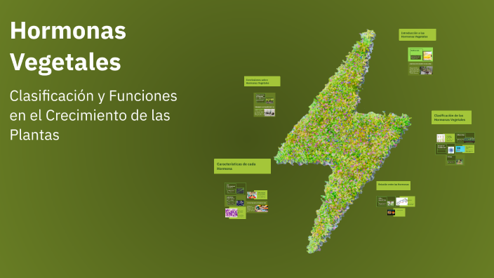 Hormonas Vegetales by steven franceschi on Prezi