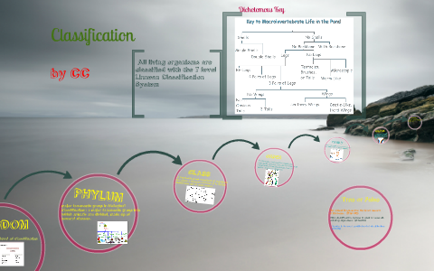 7 Levels of Classification by CC why on Prezi