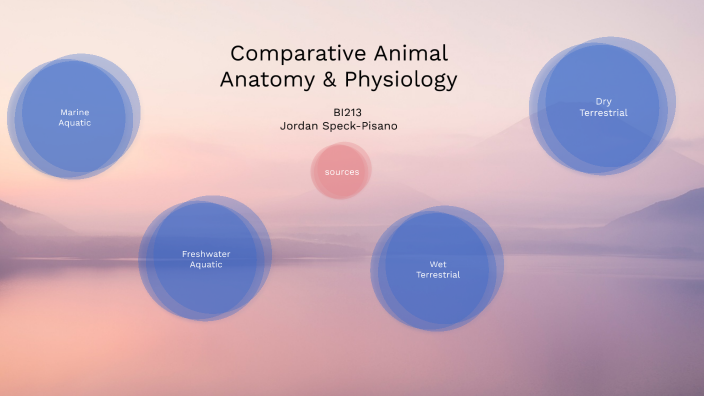 Comparative Animal Anatomy & Physiology by Jordan Speck-Pisano on Prezi