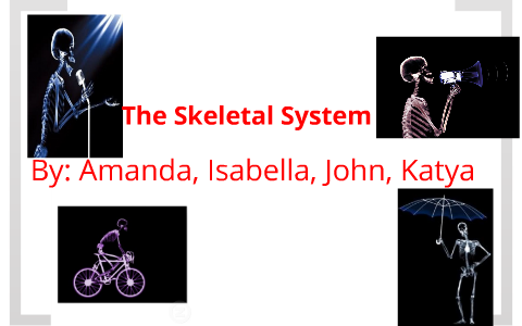 skeletal system by Amanda scalzo on Prezi