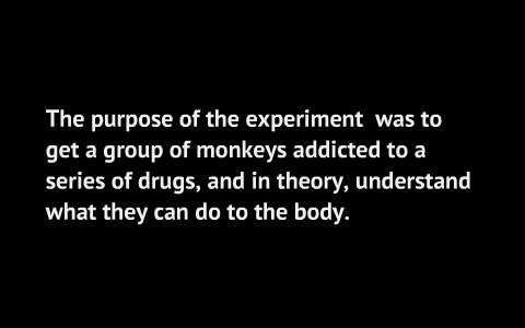 Monkey Drug Trials by Maitlyn Rodonis on Prezi
