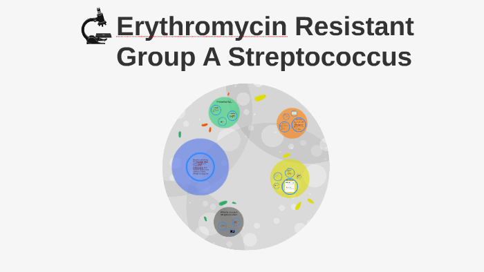 Erythromycin Resistant Group A Streptococcus by Chris White on Prezi