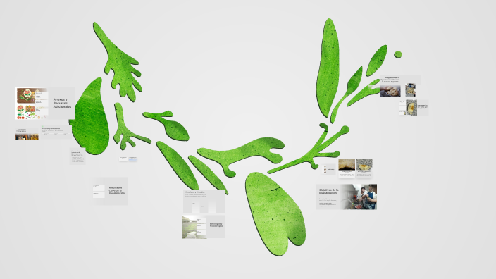 El Alga Pyropia Columbina como Motor de Desarrollo en la Gastronomía ...