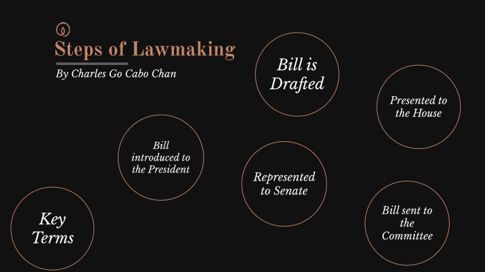 Steps of Lawmaking by Charles Go Cabo Chan on Prezi