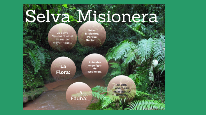Selva Misionera (Geografía) by Sofia Lutri on Prezi