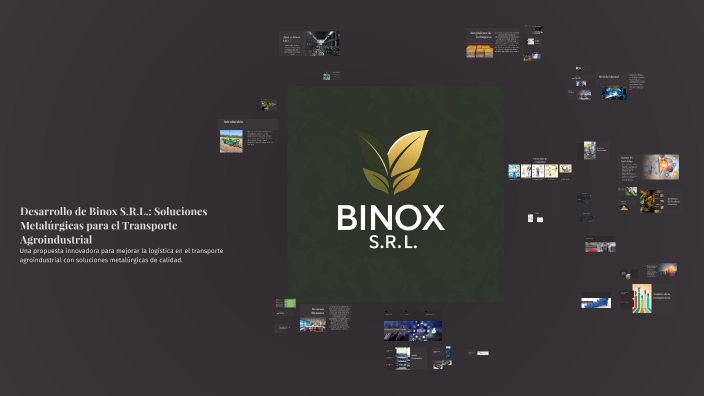 Desarrollo de Binox S.R.L.: Soluciones Metalúrgicas para el Transporte ...