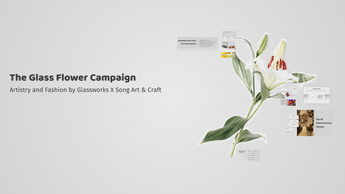 The Glass Flower Campaign by Kemi Omole on Prezi