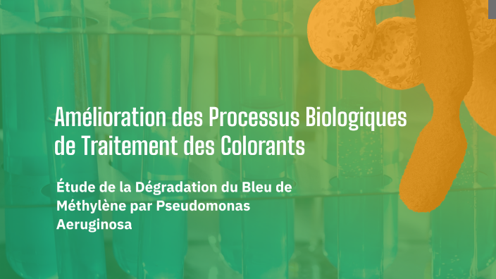 Amélioration des Processus Biologiques de Traitement des Colorants by ...
