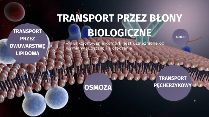Transport przez blony biologiczne by ania kania on Prezi