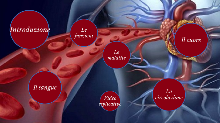 L'apparato circolatorio e le sue malattie by Stefano Maffi on Prezi