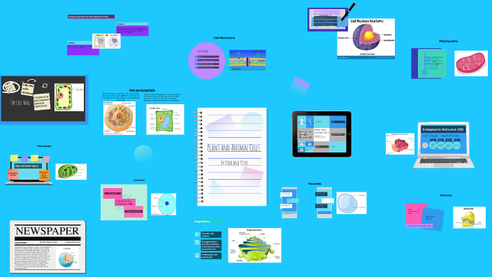 Big Cell Project by Piper Suhajda on Prezi