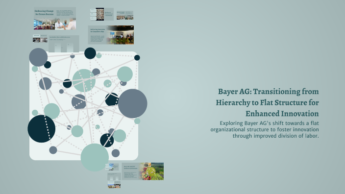 Bayer AG: Transitioning from Hierarchy to Flat Structure for Enhanced ...