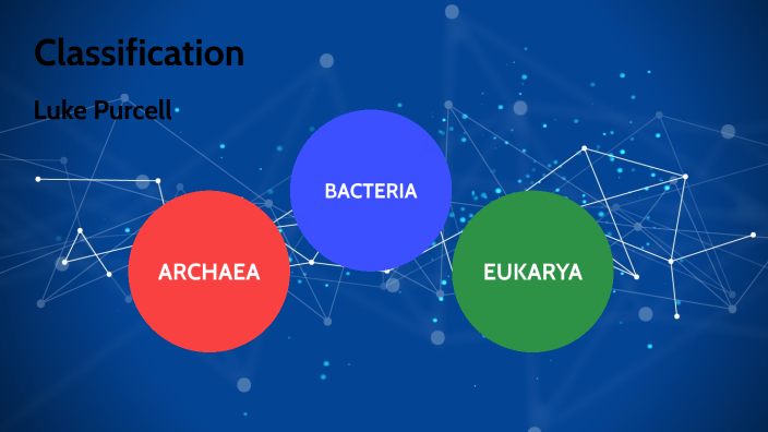 Luke Purcell, Classification Project by Luke Purcell on Prezi