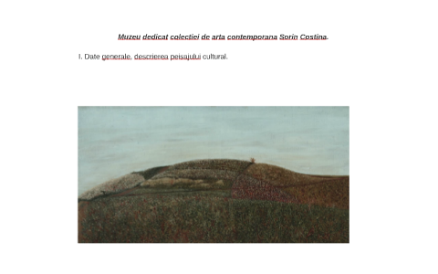 Muzeu dedicat colectiei de arta contemporana Sorin Costina. by Alex Cheregi