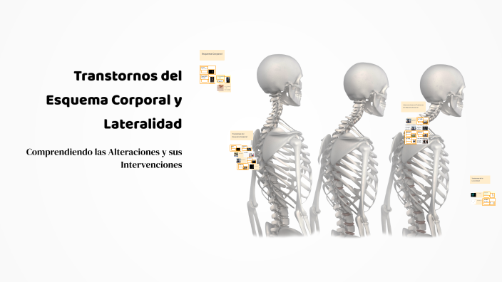 Transtornos del Esquema Corporal y Lateralidad by Dorado Sunavi Ronald on Prezi
