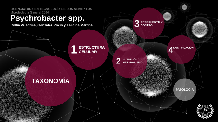Psychrobacter spp by Rocio Gonzalez Jose on Prezi