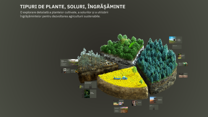 TIPURI DE PLANTE, SOLURI, ÎNGRĂȘĂMINTE by Cotoman Aurelia on Prezi